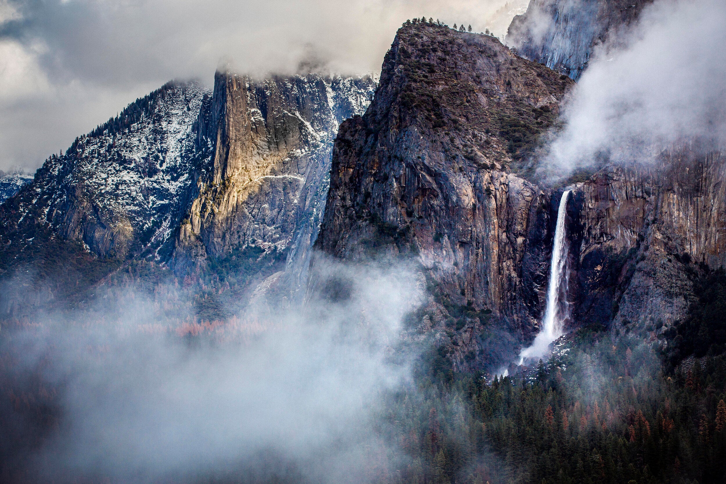Yosemite – STEELE BURROW PHOTOGRAPHY