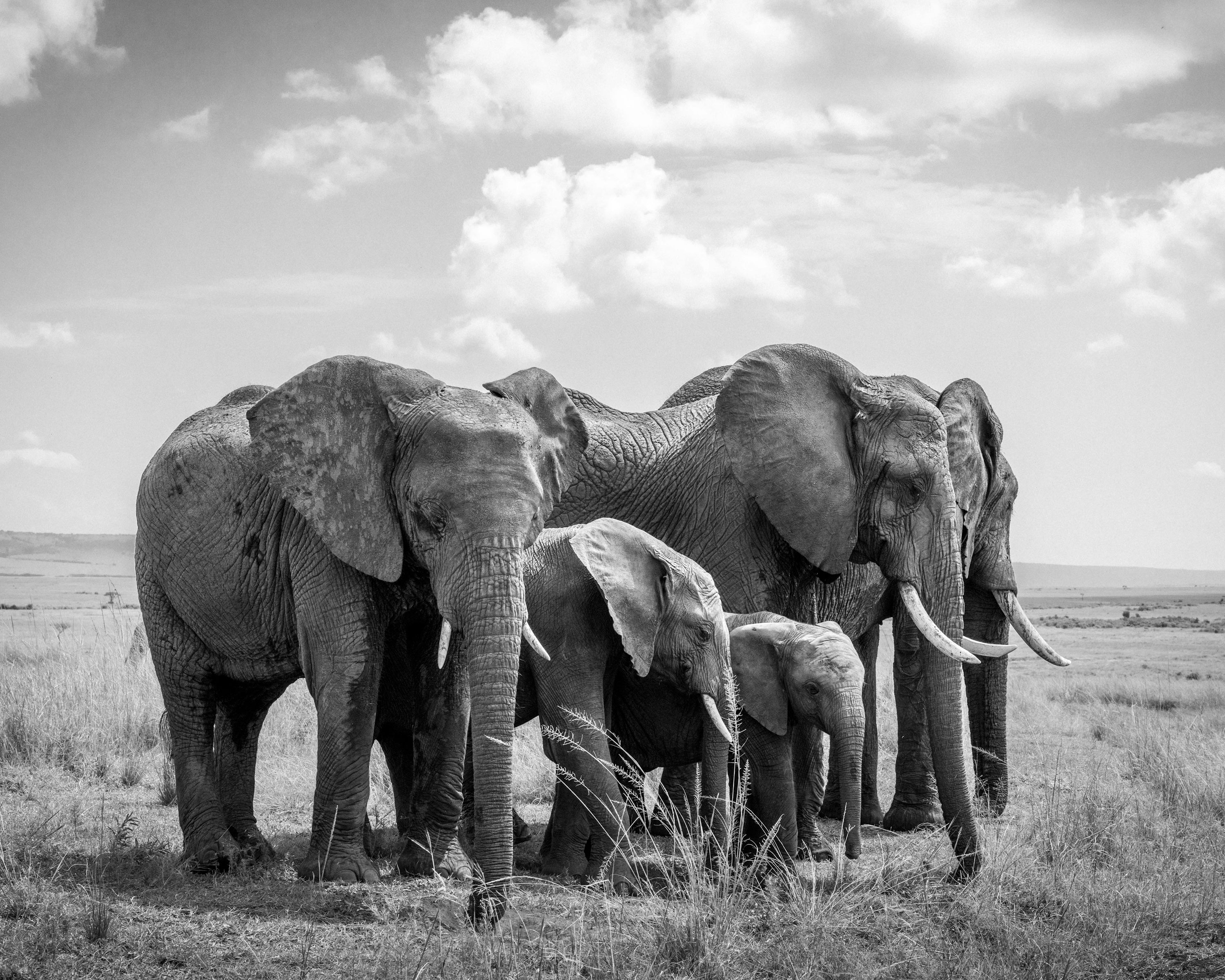 Reunion – STEELE BURROW PHOTOGRAPHY